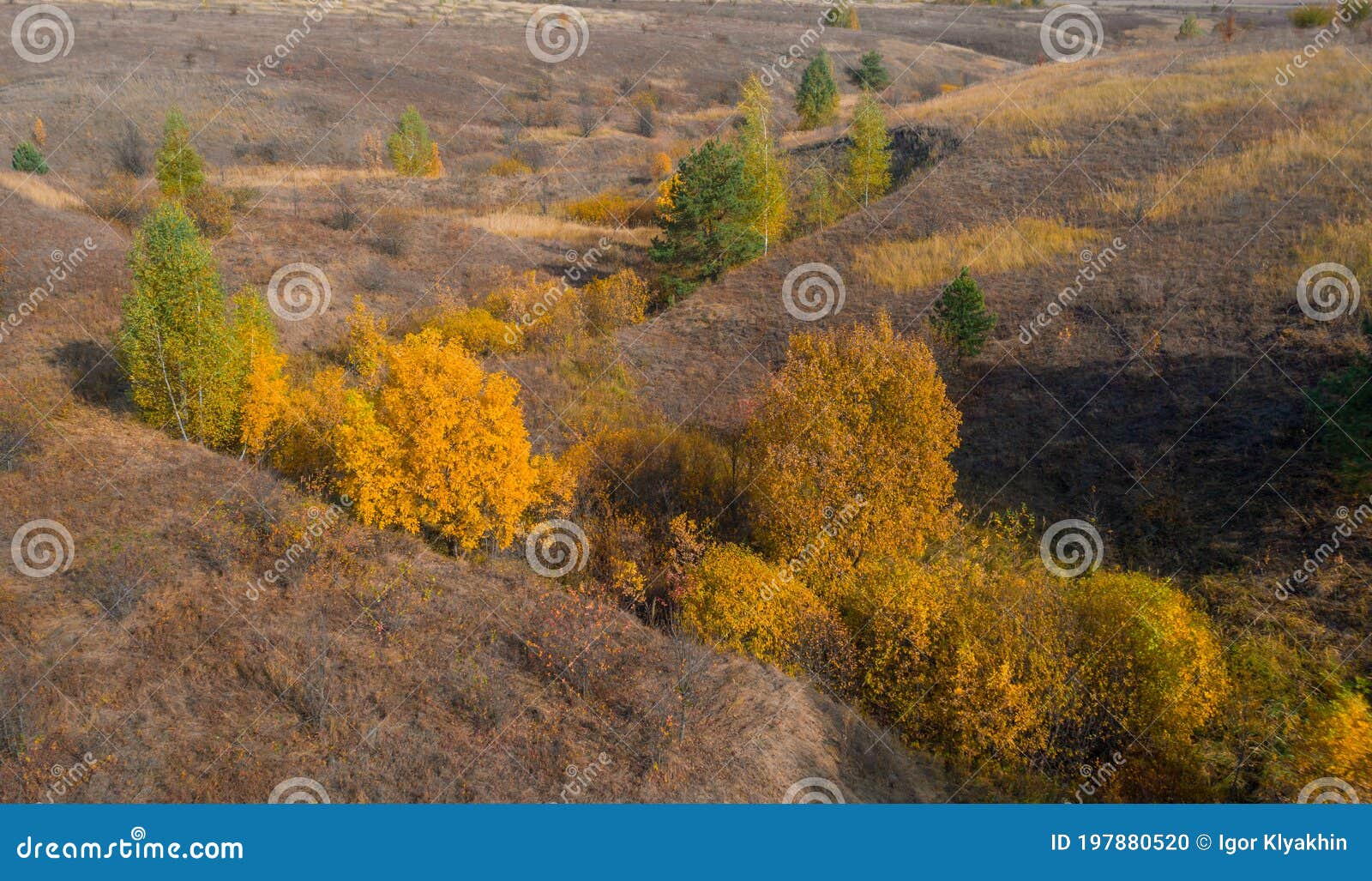 Top View of the Bizarre Shape of the Ravine with Trees Growing Stock ...