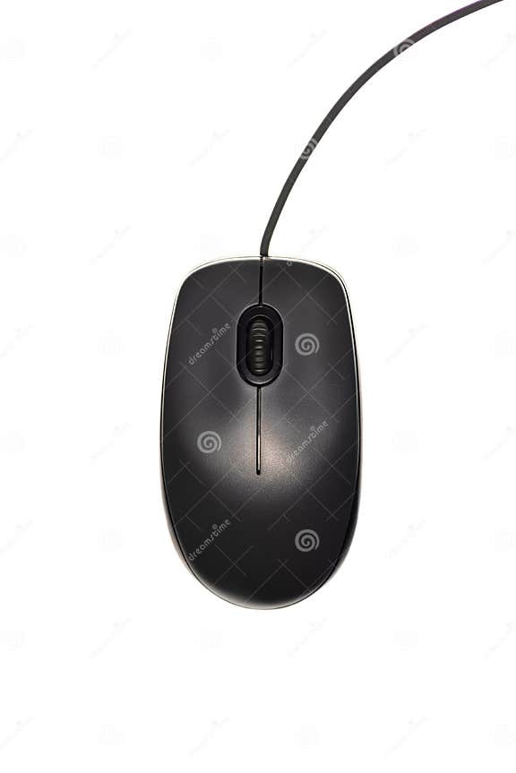 Top View of Black Computer Mouse Isolated on White Stock Photo - Image ...