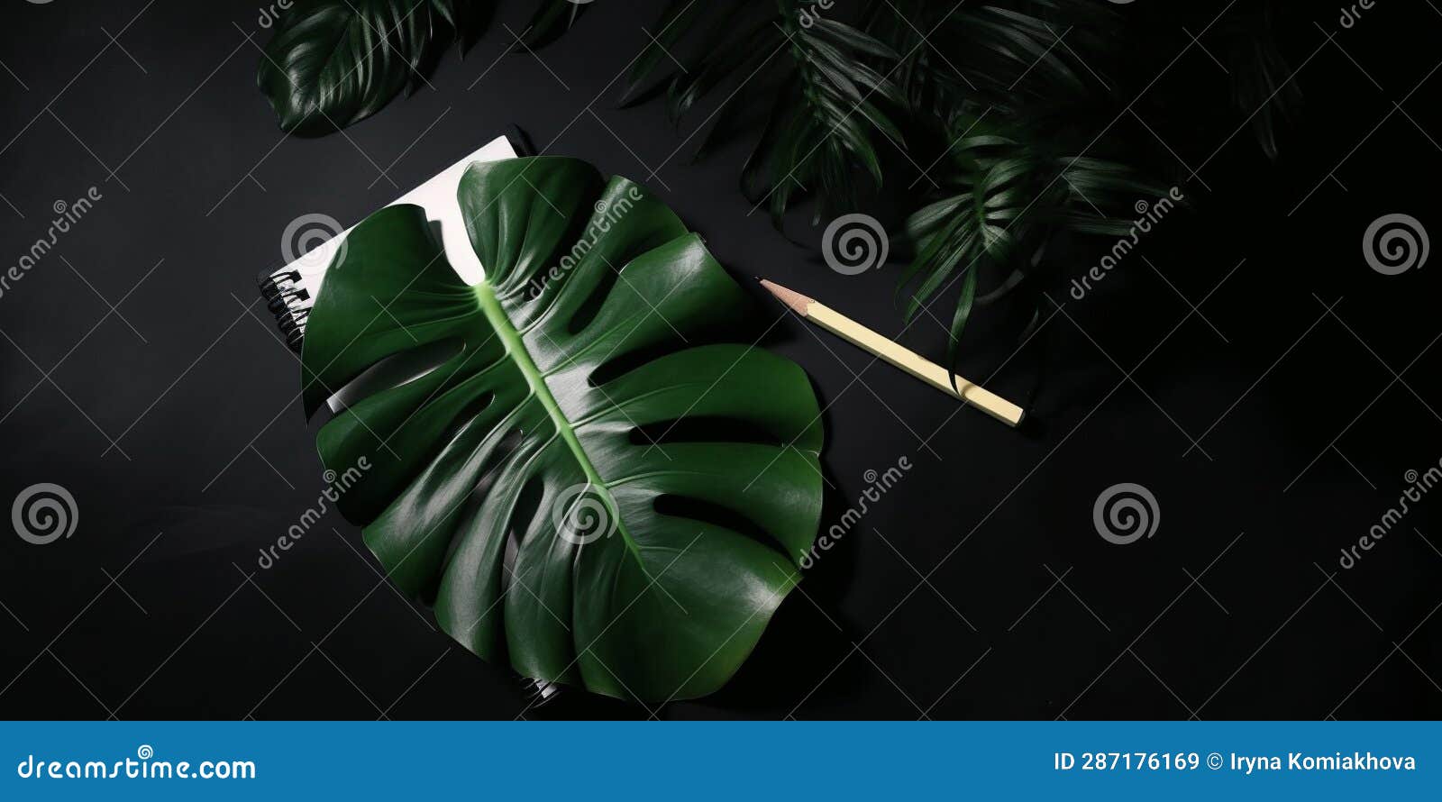 Top View of Black Table Top with Black Notepad with Monstera Leaves ...