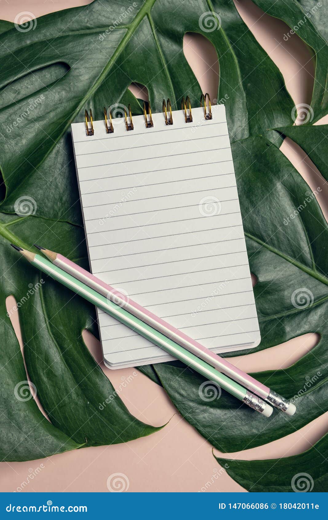 Top View of Blank Notepad with Pen on Monstera Leaf and Pink Background ...