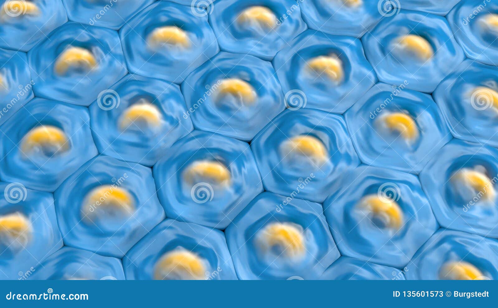 Top View on Blue Cell Pattern with Yellow Cell Nucleus Stock ...
