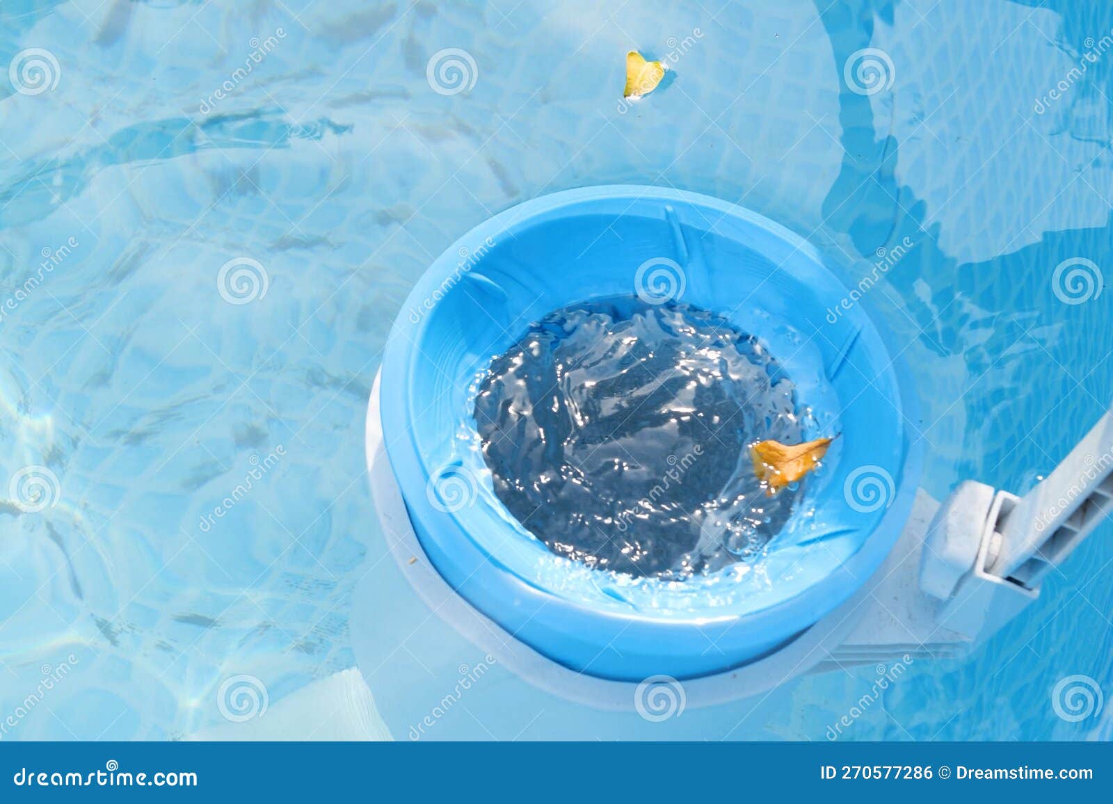 Top View of the Blue Skimmer for Cleaning the Pool in Clear Water ...