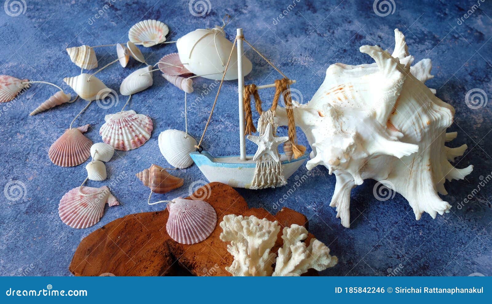 Top View Boat with Seashell, Conch Shell on Blue Background, Stock ...