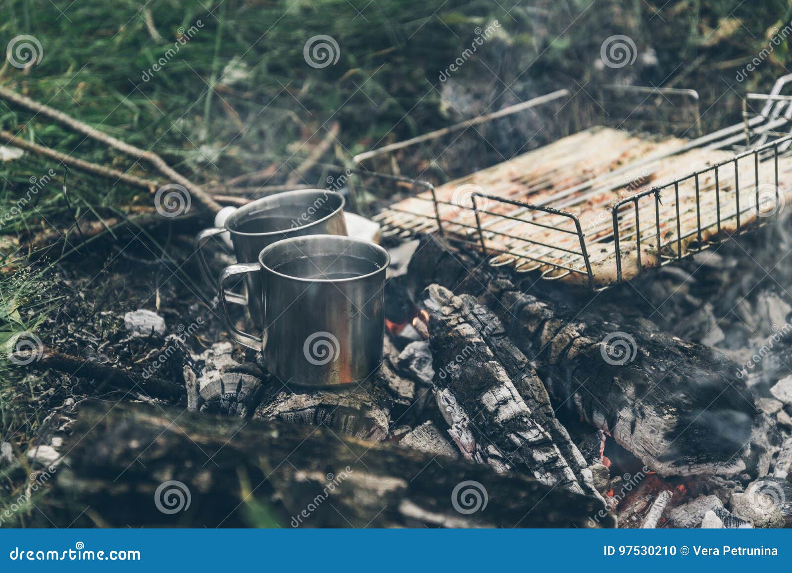 Top View on Bonfire with Chicken Meat Stock Photo - Image of bonfire ...