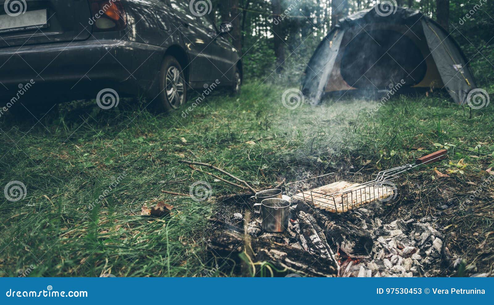 Top View on Bonfire with Chicken Meat Stock Image - Image of fire, cook ...