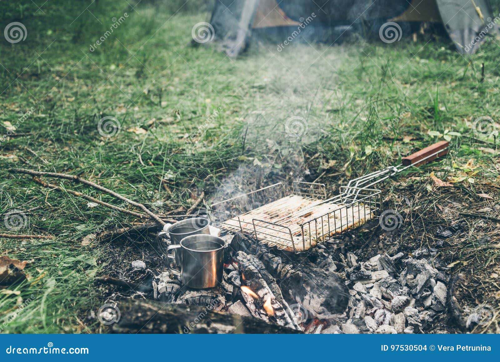 Top View on Bonfire with Chicken Meat Stock Photo - Image of meat, fare ...