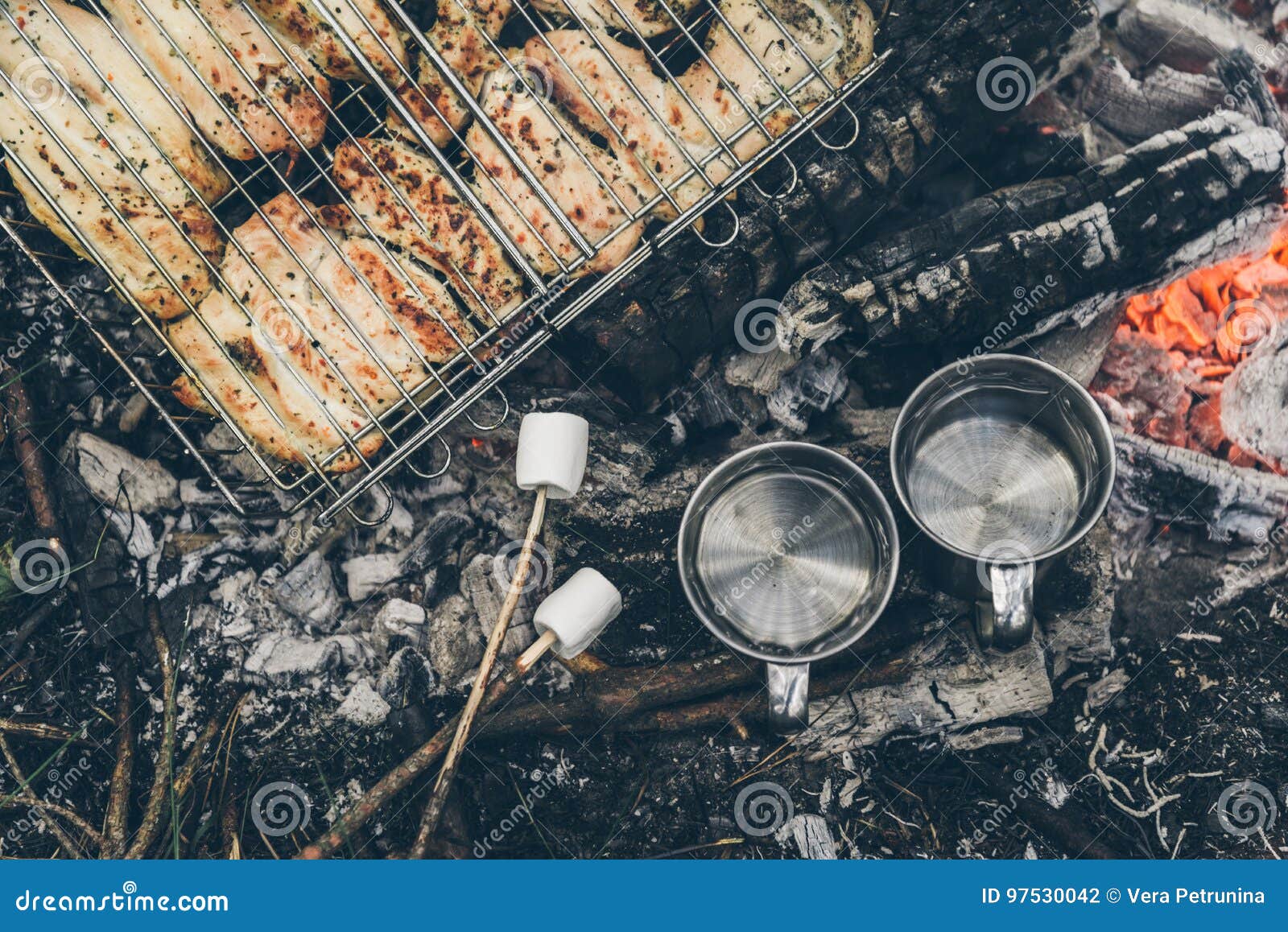 Top View on Bonfire with Chicken Meat Stock Photo - Image of bonfire ...