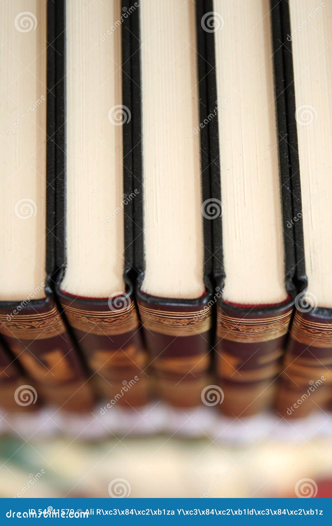 Top view of books stock photo. Image of bookstore, heap - 54641570