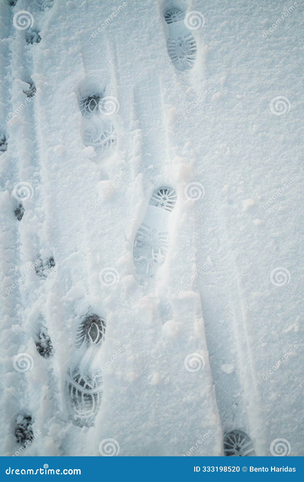 Boot Footprint In Snow Stock Photo | CartoonDealer.com #13317834