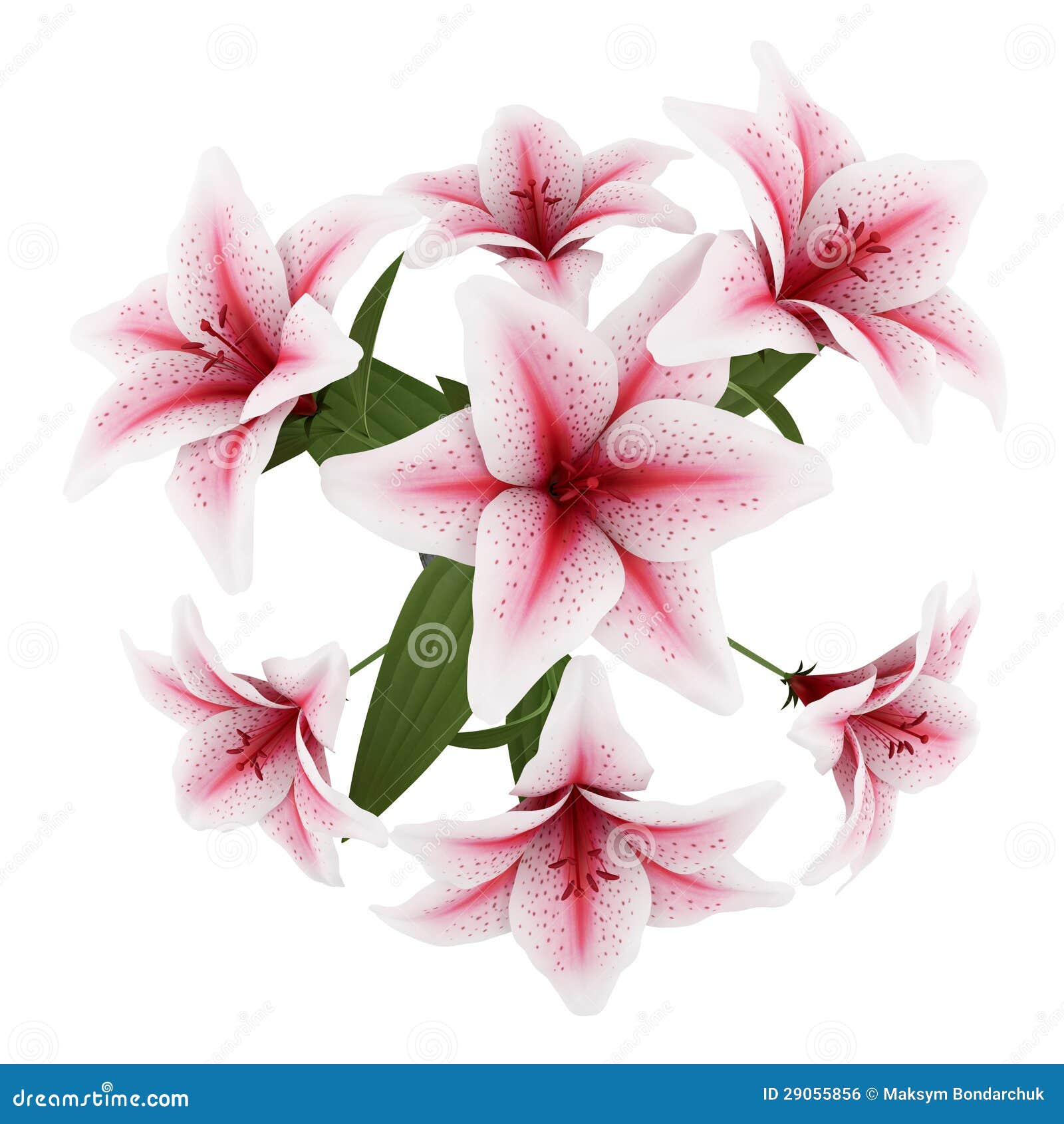 Top View of Bouquet of Pink Lilies Isolated on White Stock Illustration ...