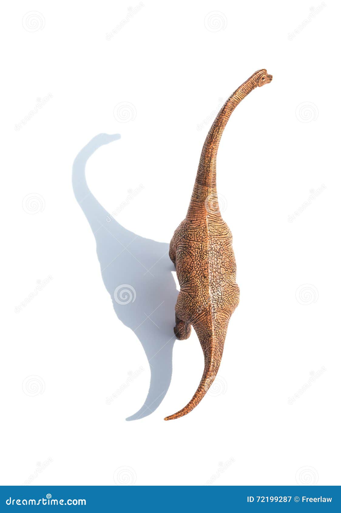 Top View Brachiosaurus Toy with Shadow on White Background Stock Image ...