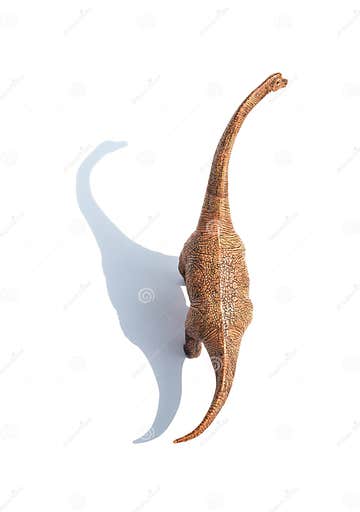Top View Brachiosaurus Toy with Shadow on White Background Stock Image ...