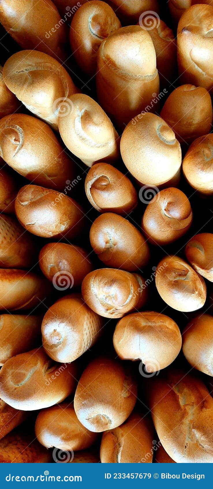 Top view of bread stock image. Image of agriculture - 233457679