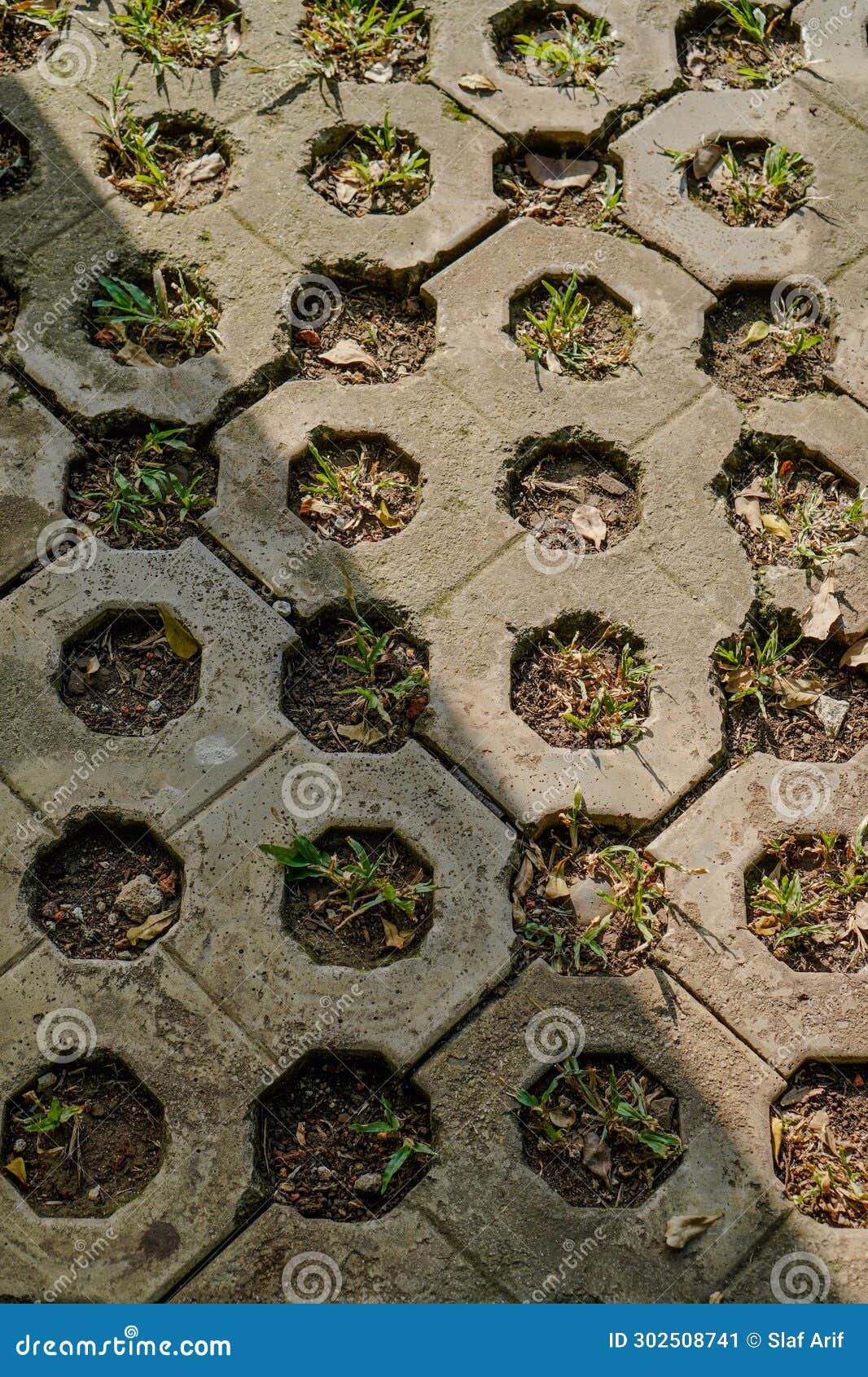 Top View of Brick Floor with Sunlight in the Morning Stock Image ...