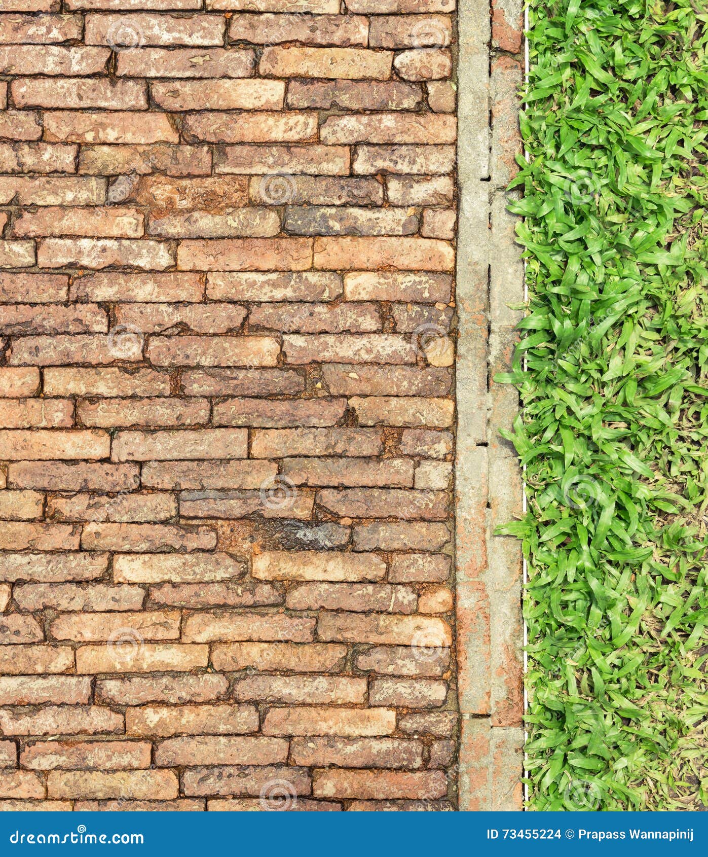 Top View Brick Walk Path and Grass Land Background Stock Photo - Image ...
