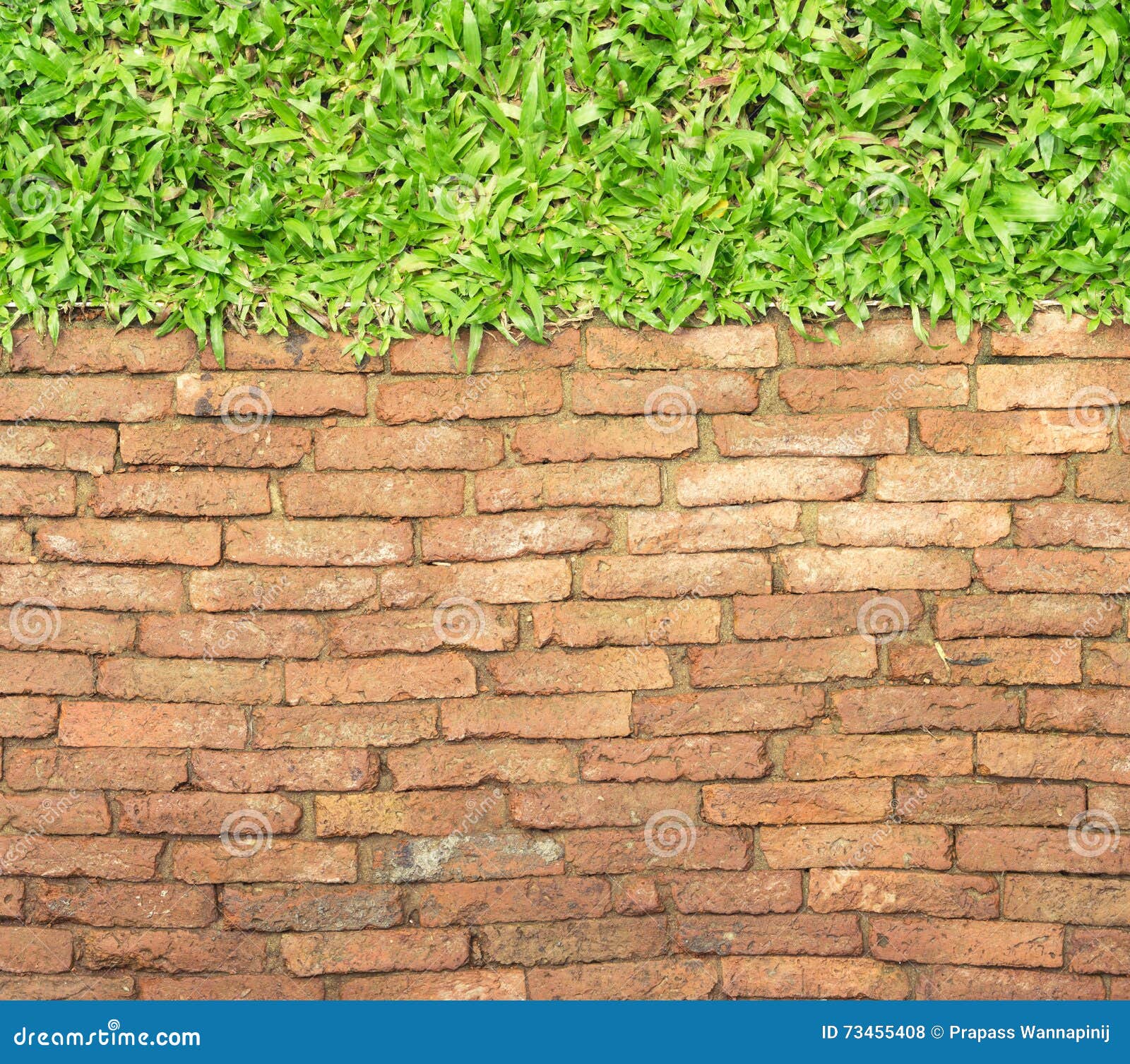 Top View Brick Walk Path and Grass Land Background Stock Photo - Image ...