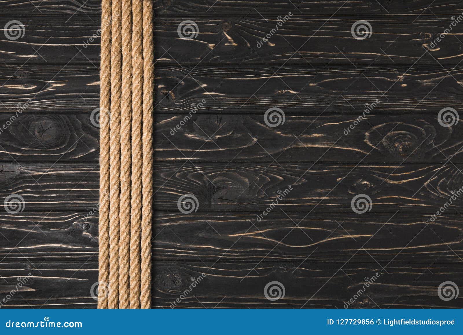 Top View of Brown Nautical Ropes Placed in Row Stock Photo - Image of ...