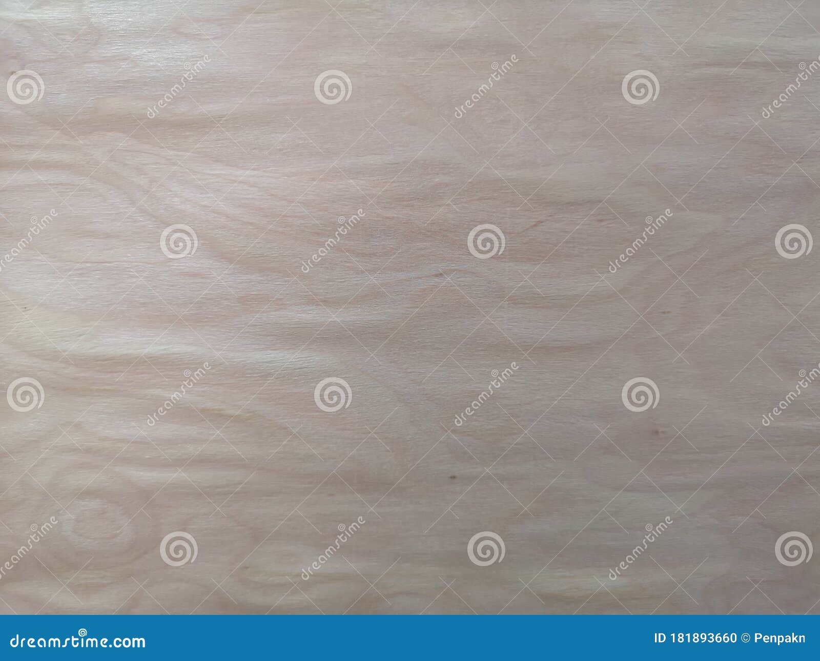 Top View Brown Wood Pattern Natural Burr Texture and Surface Material ...