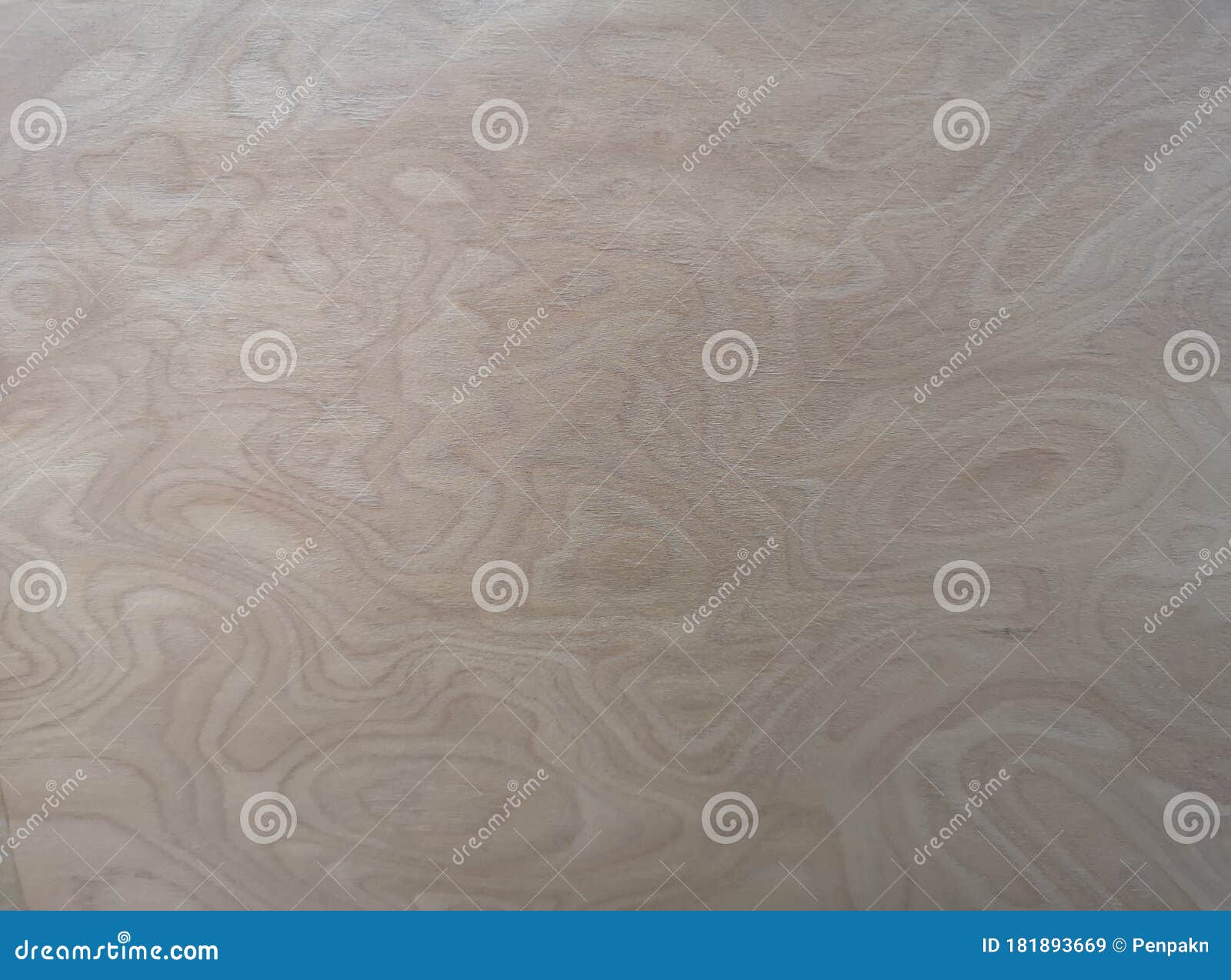 Top View Brown Wood Pattern Natural Burr Texture and Surface Material ...
