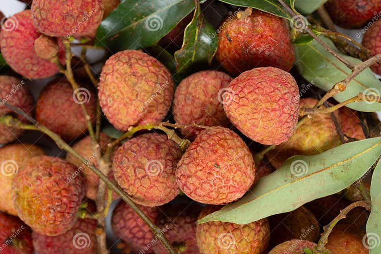 Bunch of Fresh Lichees on White at Horizontal Composition Stock Photo ...