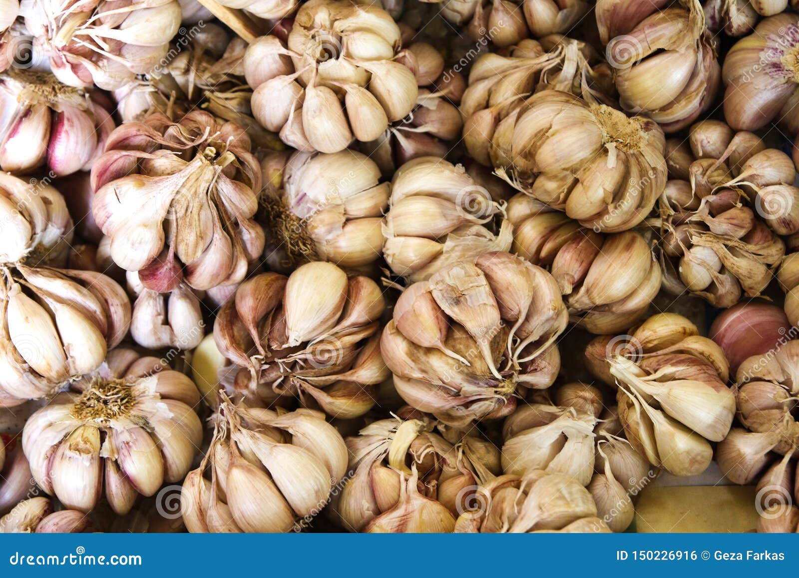 Top View on a Bunch of Raw Garlic Stock Photo - Image of market ...
