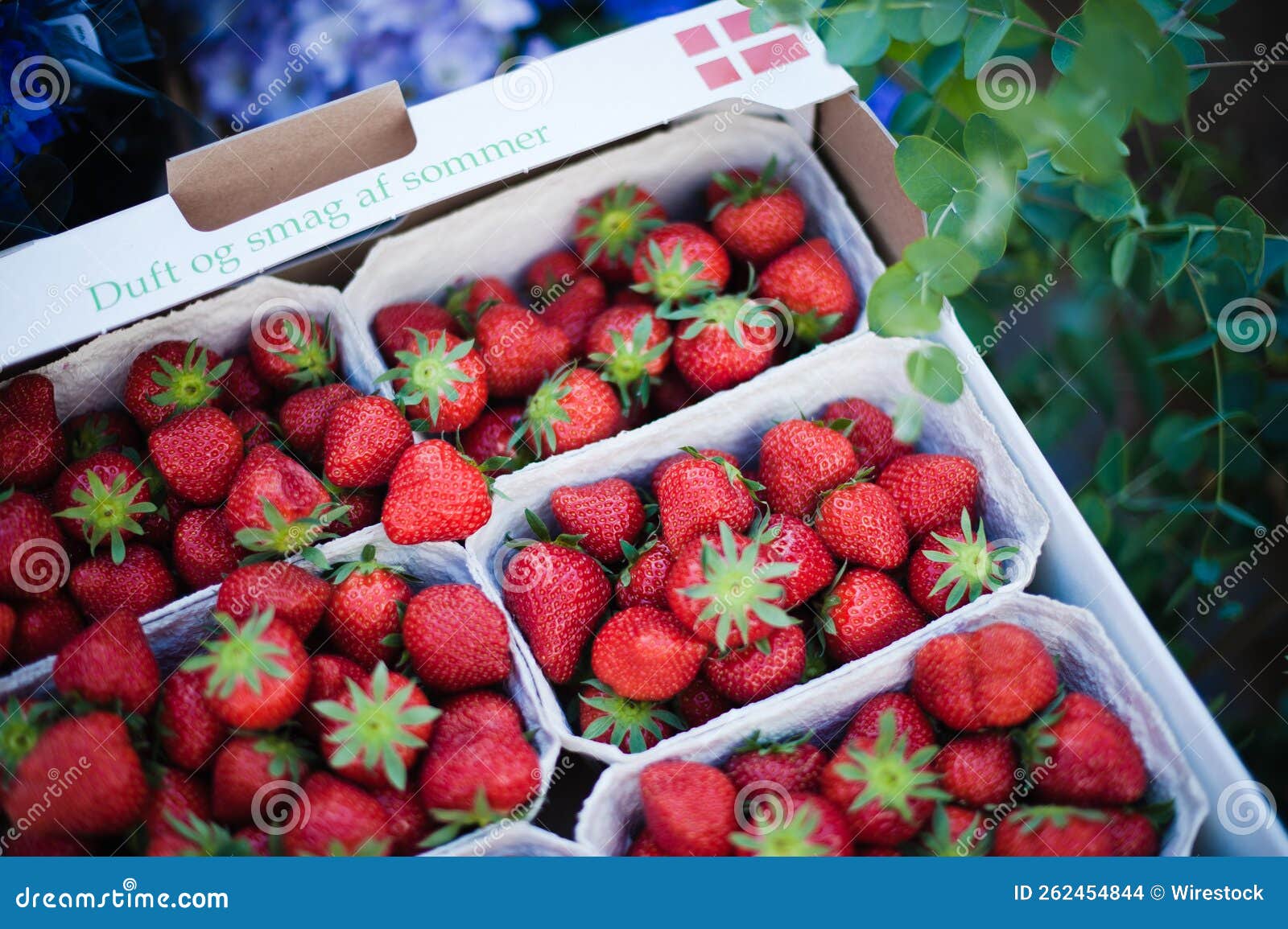Top View of Bunch of Strawberries in Box Editorial Stock Image - Image ...