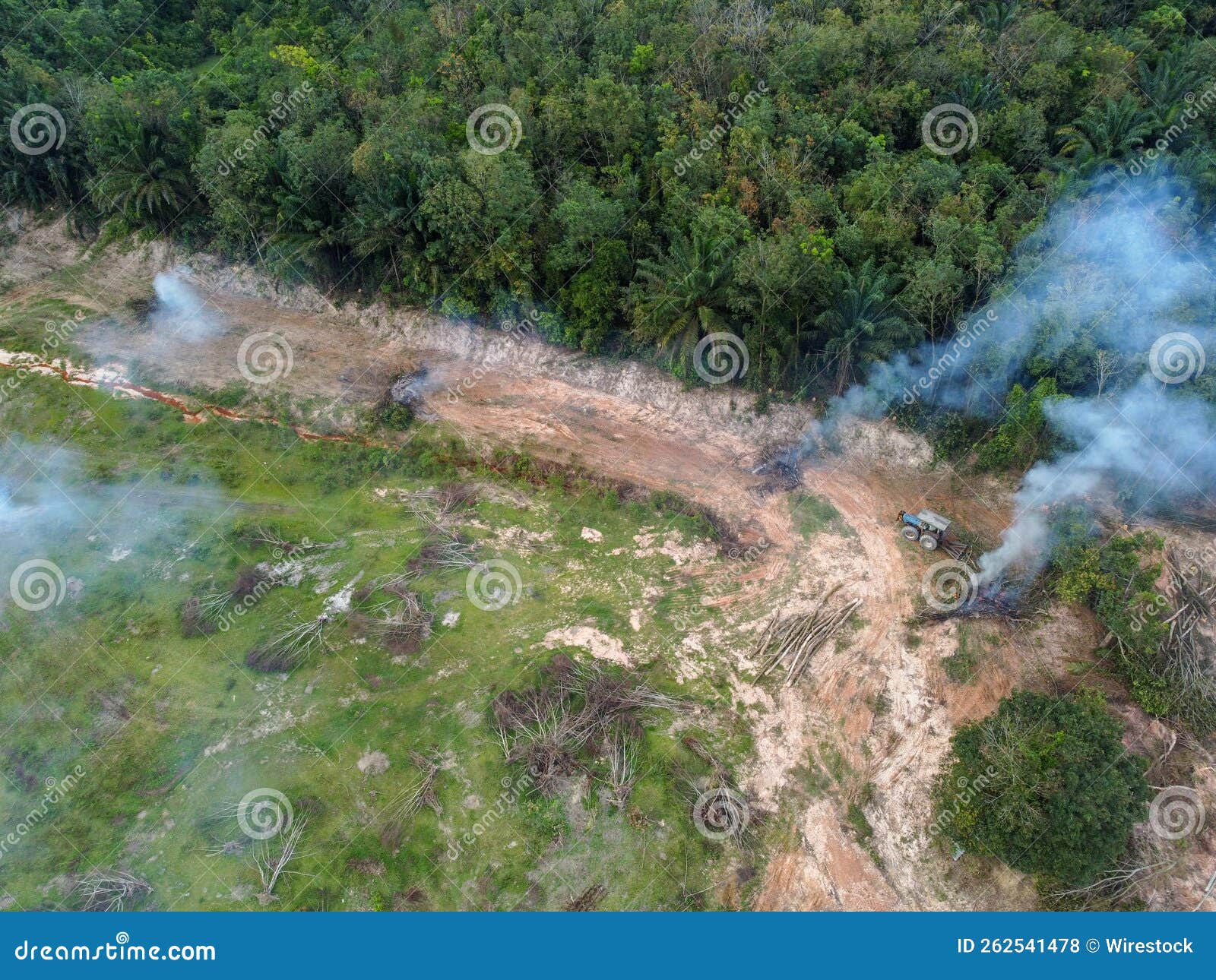 Top View of a Burning Land at an Oil Palm Plantation Stock Photo ... Top View of a Burning Land at an Oil Palm Plantation Stock Photo ...