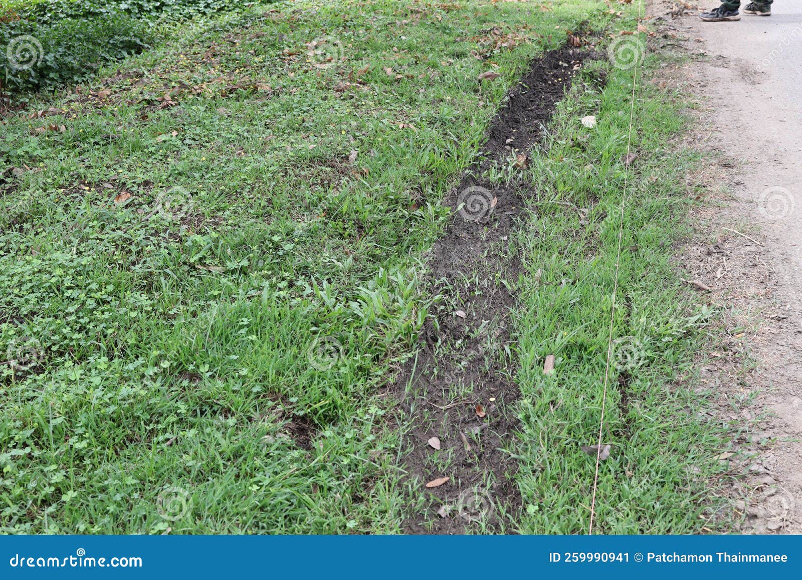 Top View of Car Wheel Tracks on the Ground on the Lawn Stock Image ...