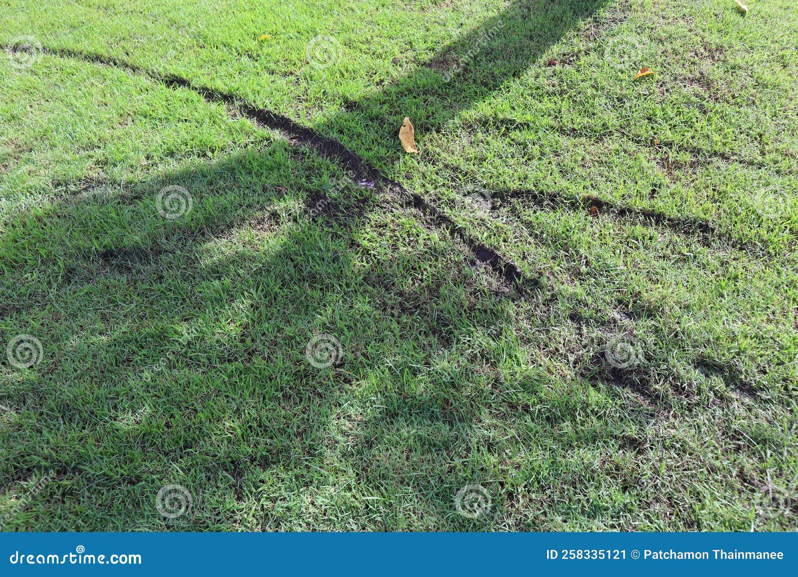 Top View of Car Wheel Tracks on Lawn, Image for Selectable Focus ...
