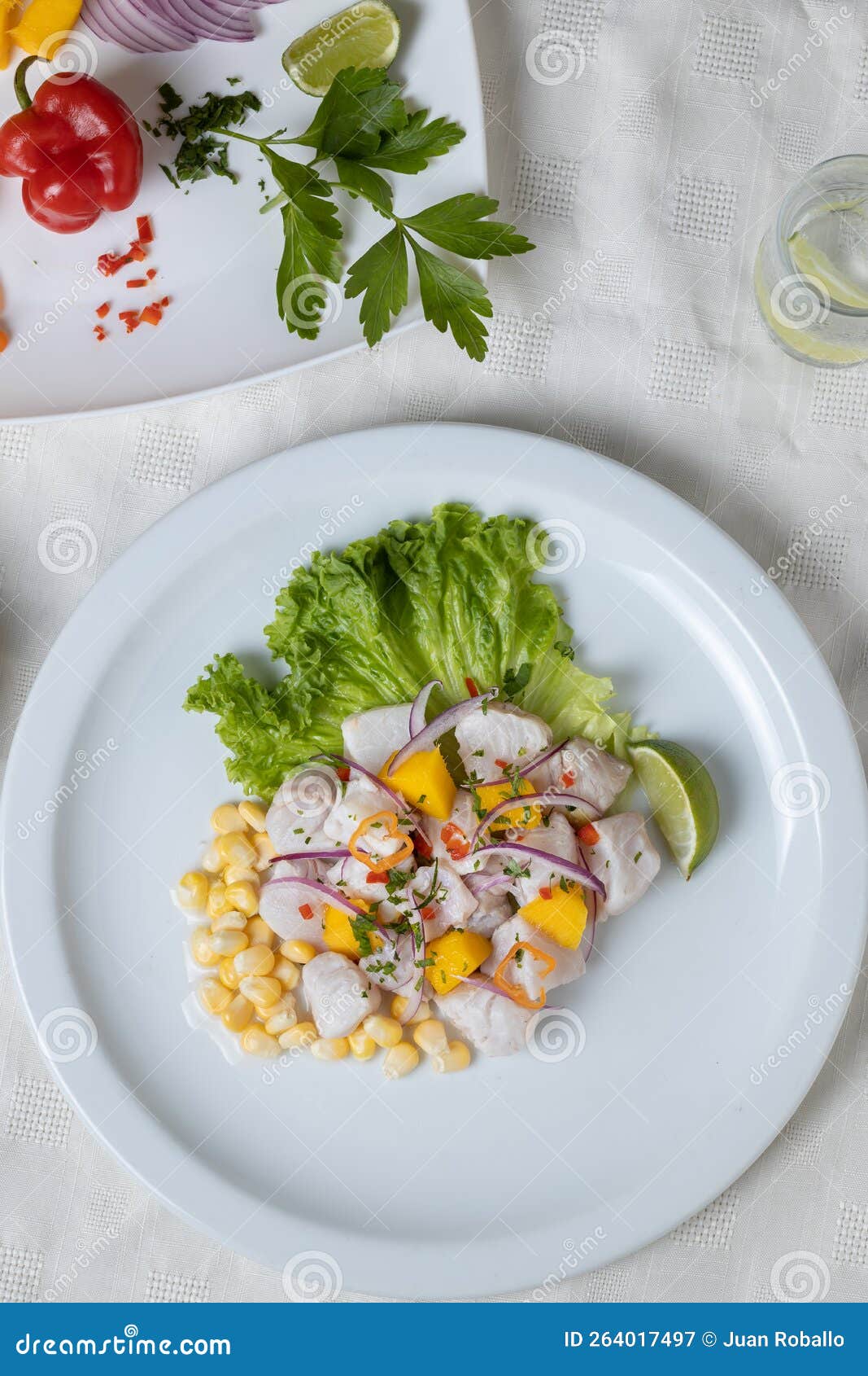 Top View of Ceviche, Typical Fish-based Dish of Peruvian Cuisine, and ...