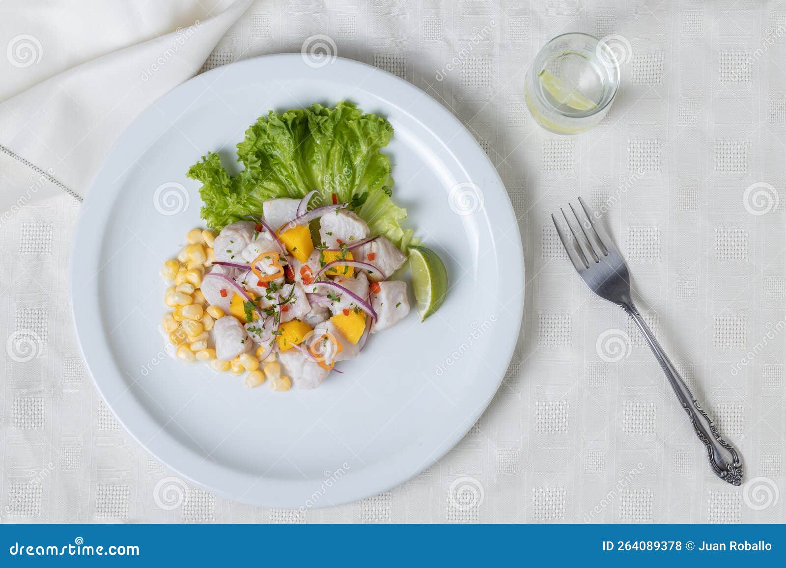 Top View of Ceviche, Typical Fish-based Dish of Peruvian Cuisine Stock ...