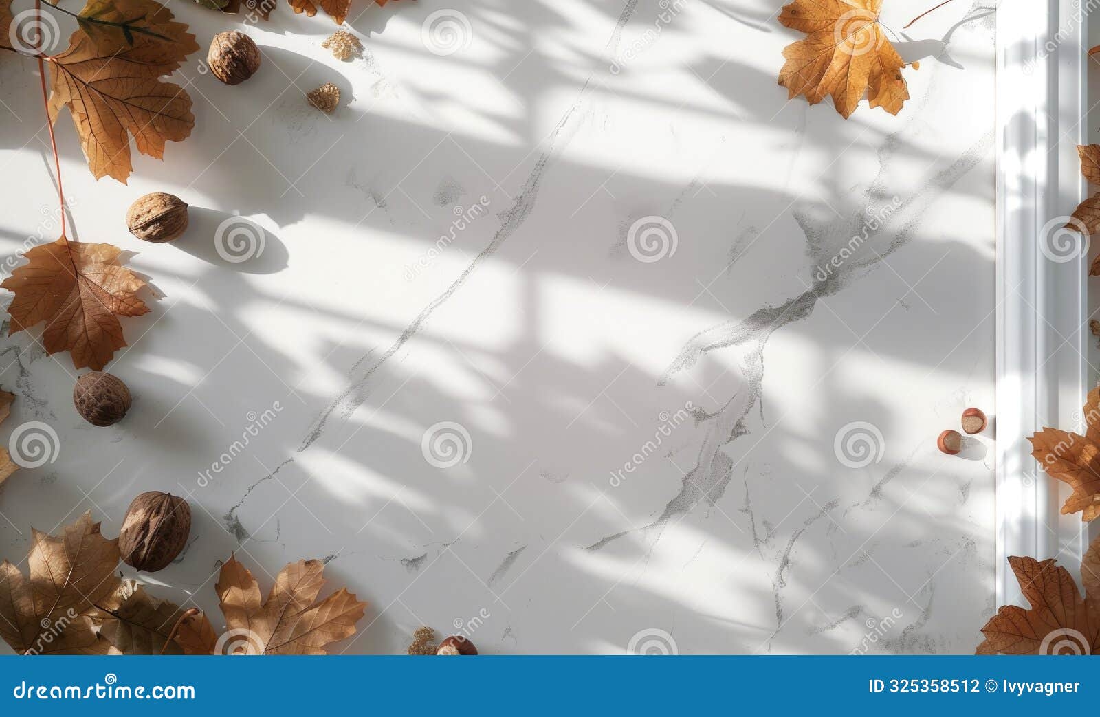 Top View of a Clean White Marble Countertop, Frame of Autumn Leaves and ...