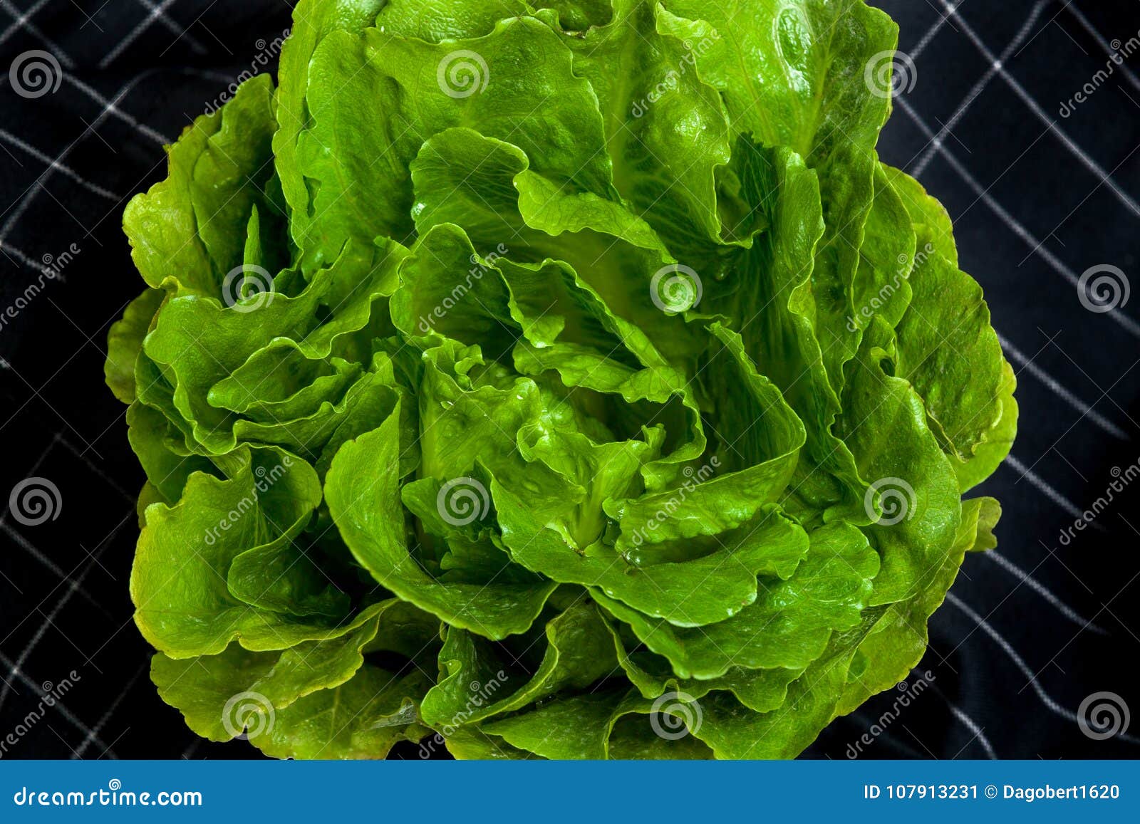 Top View Close Up of a Head of Lettuce Stock Image - Image of farm ...
