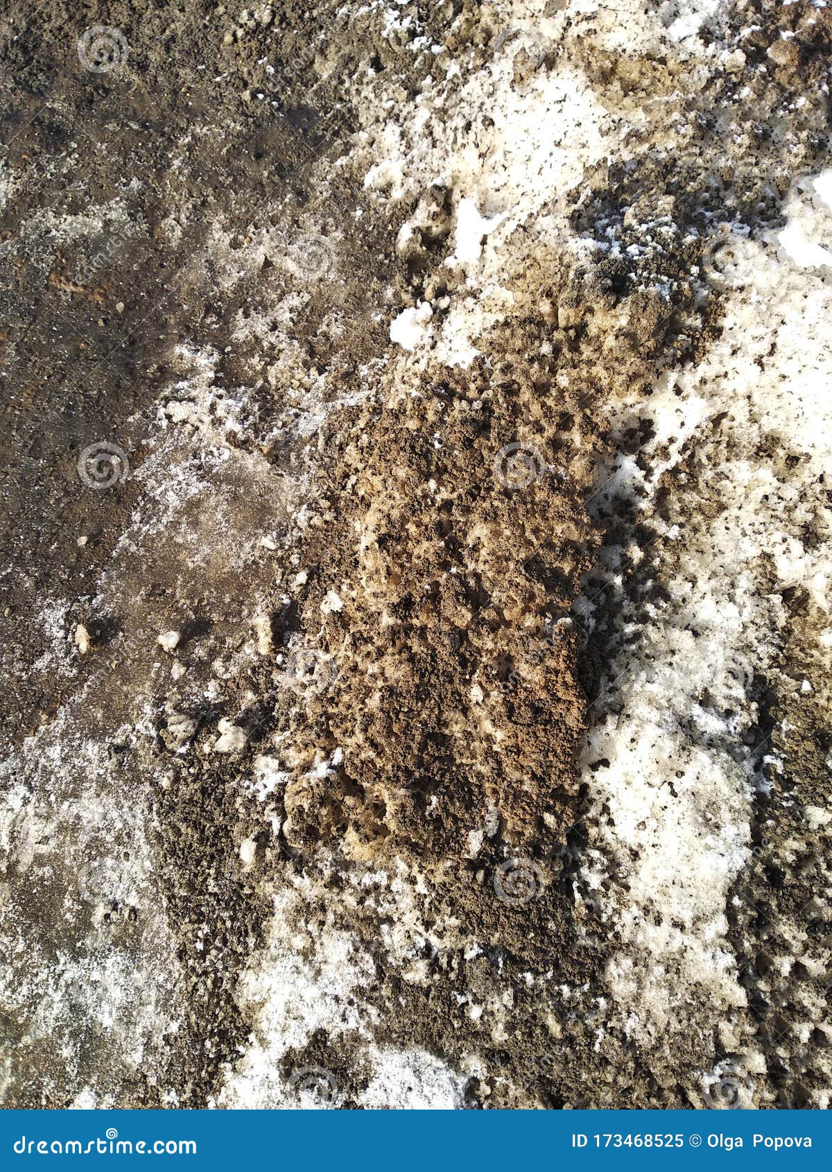 Top View of Closeup Dirty and Melted Snow Stock Image - Image of ...