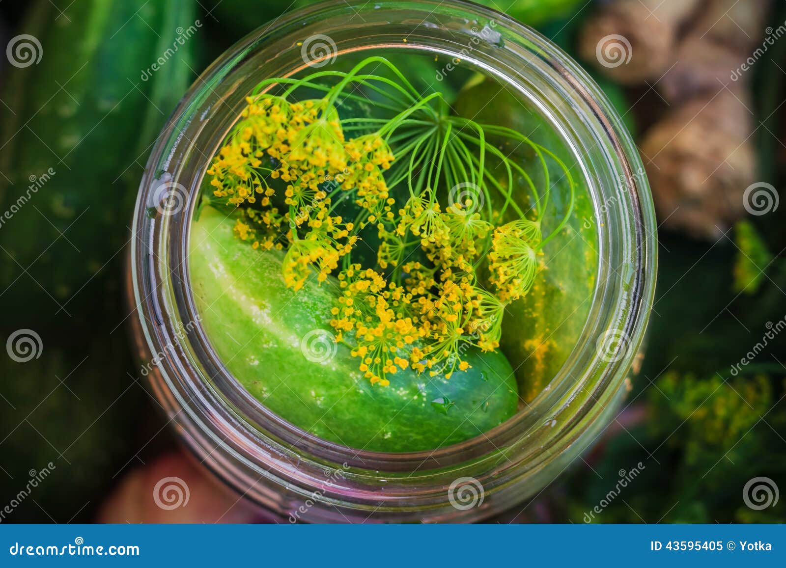 Top View Closeup Jar Pickles Other Ingredients Pickling Stock Image ...