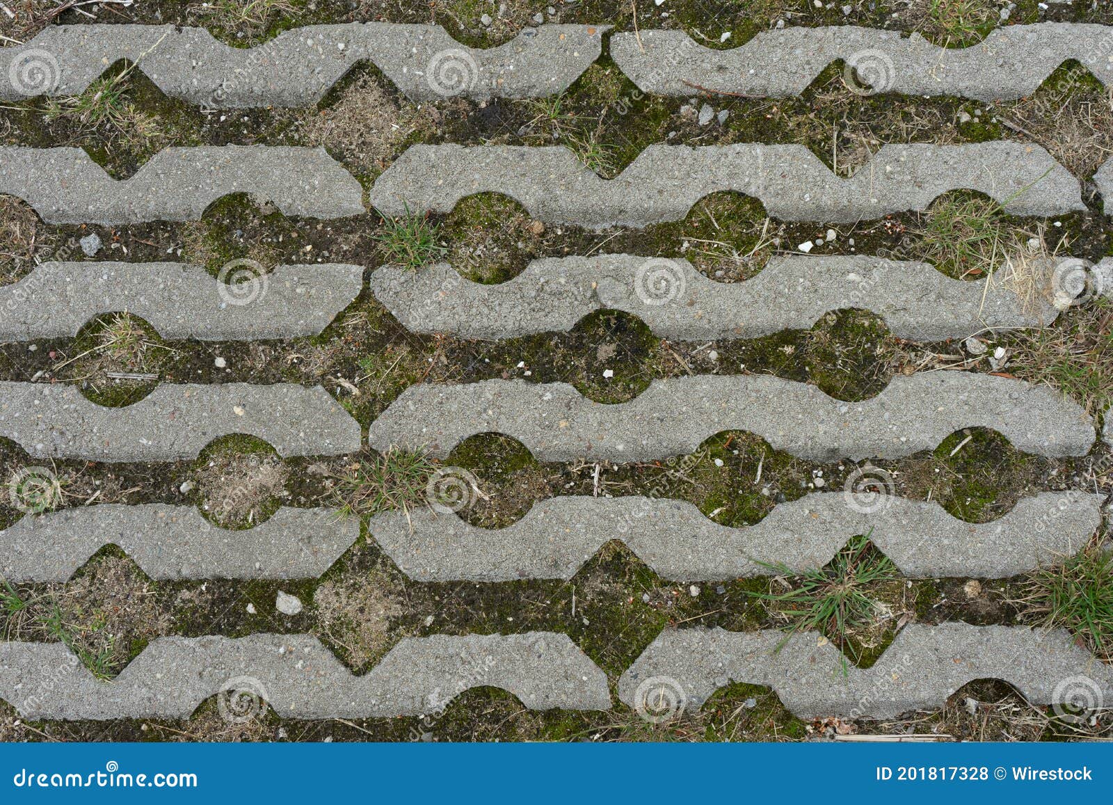 Top View Closeup of Stone Pavement Pattern with Grass, Moss and Rocks ...