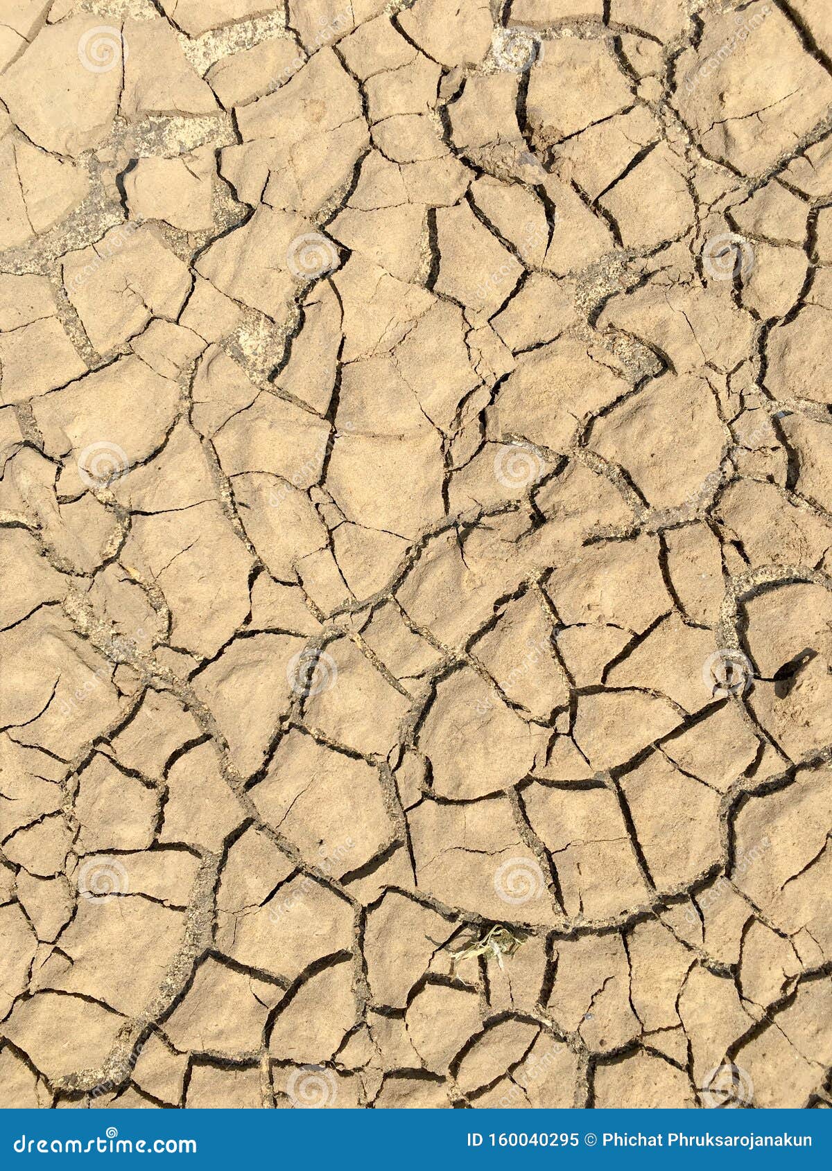 Top View Closeup Weathered Texture and Background of Arid Cracked ...