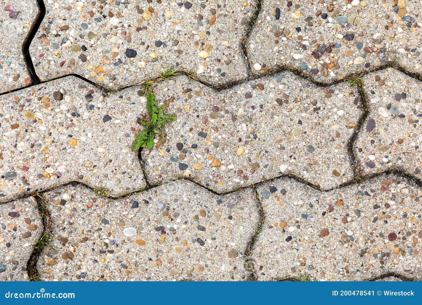 Top View of a Cobblestone Pavement at Daylight Stock Image - Image of ...