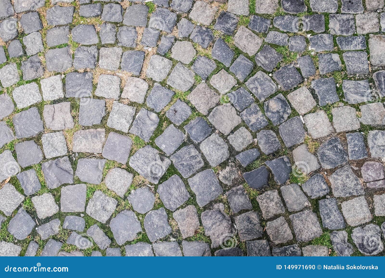 Top View of a Cobblestone Road in Summer Stock Photo - Image of ...