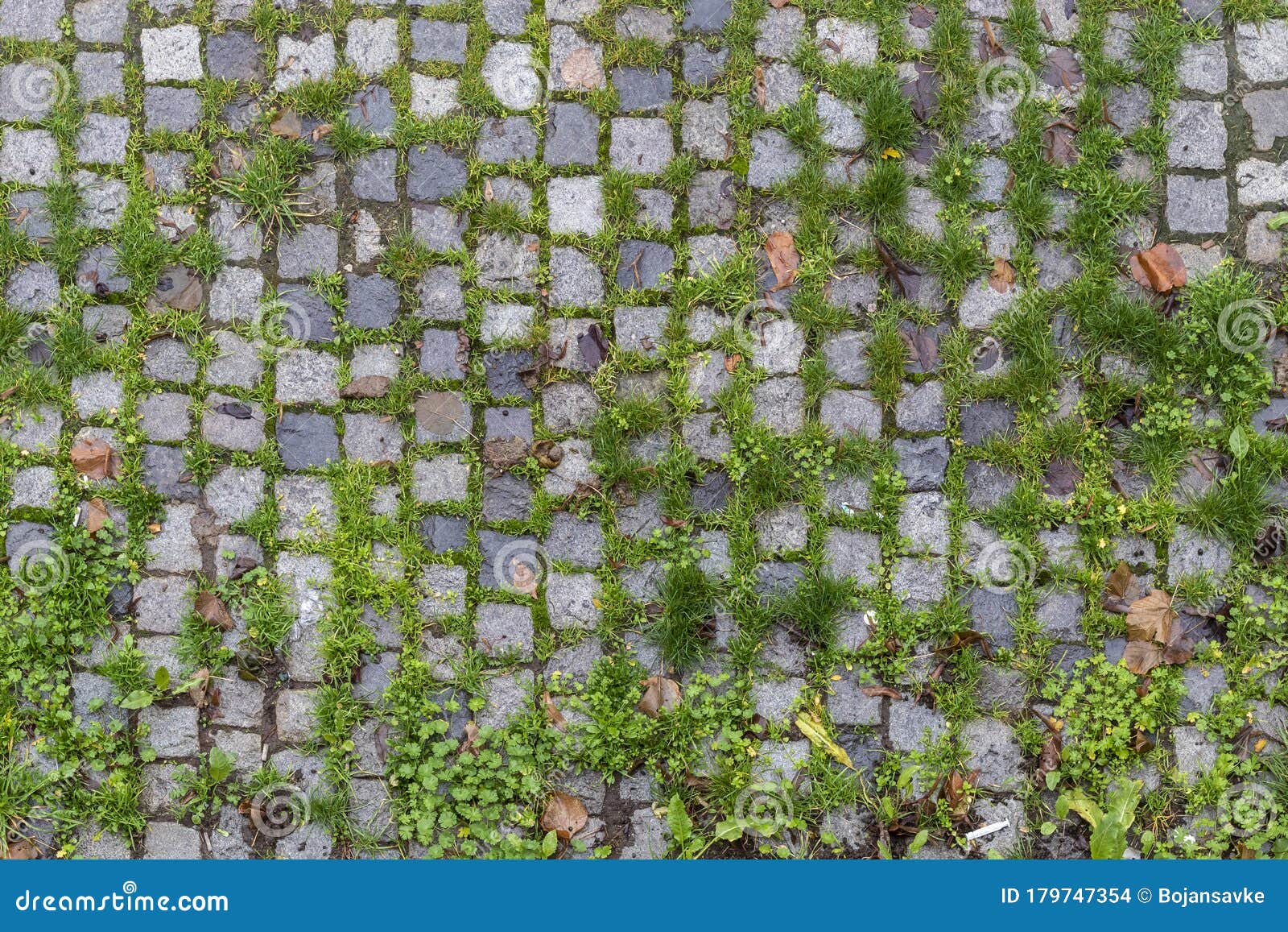 Cobblestone Texture With Grass Between Blocks Royalty-Free Stock Image ...