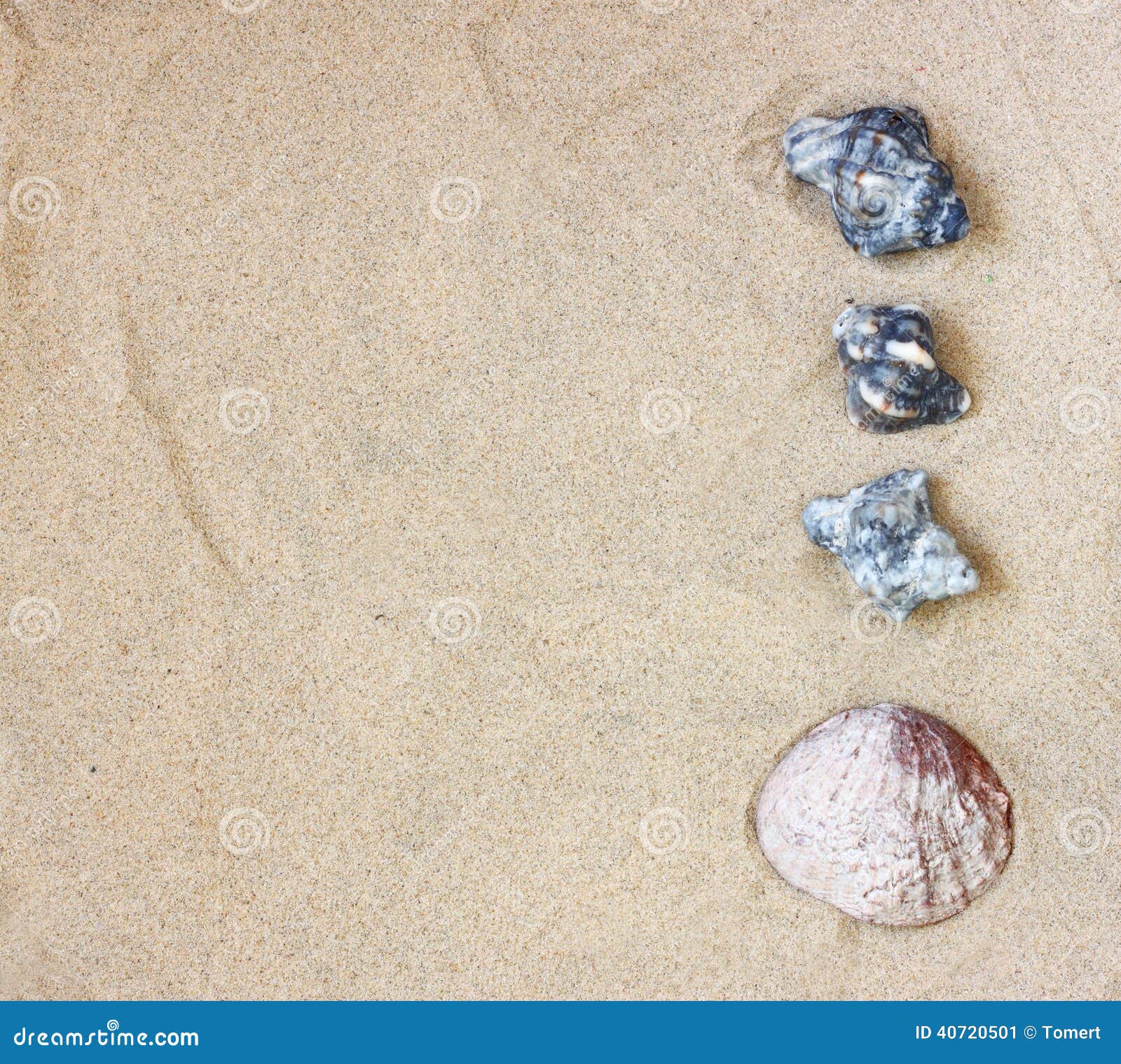 Top View of Collection of Beach Stones Rock and Shells Over Sand. Stock ...