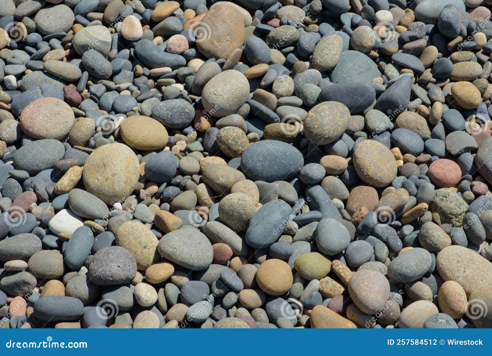 Top View of Colorful Beach Rocks Stock Photo - Image of coastline ...