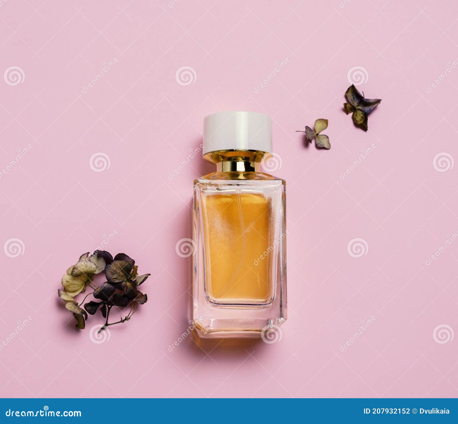 Top View Composition with Dried Hydrangea Flowers and Perfume Bottle on ...