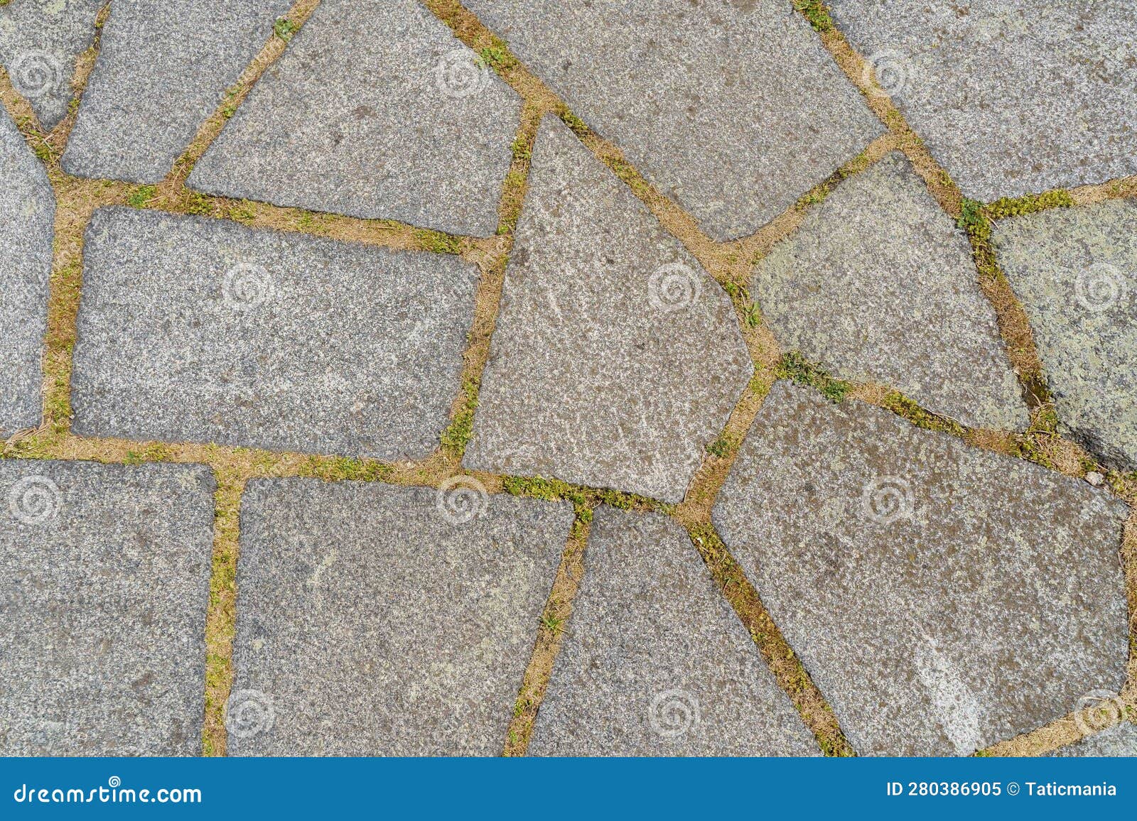 Top View Concrete Pathway Brick Texture, Damp Cement Block Surface ...