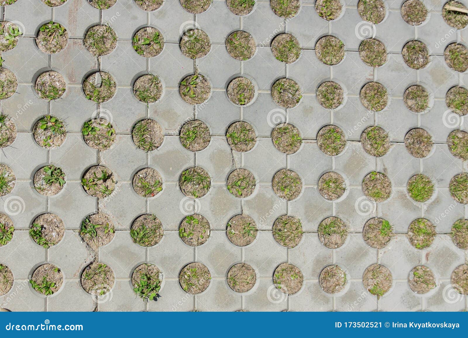 Top View of Concrete Pavement with Growing Grass. Background Texture ...