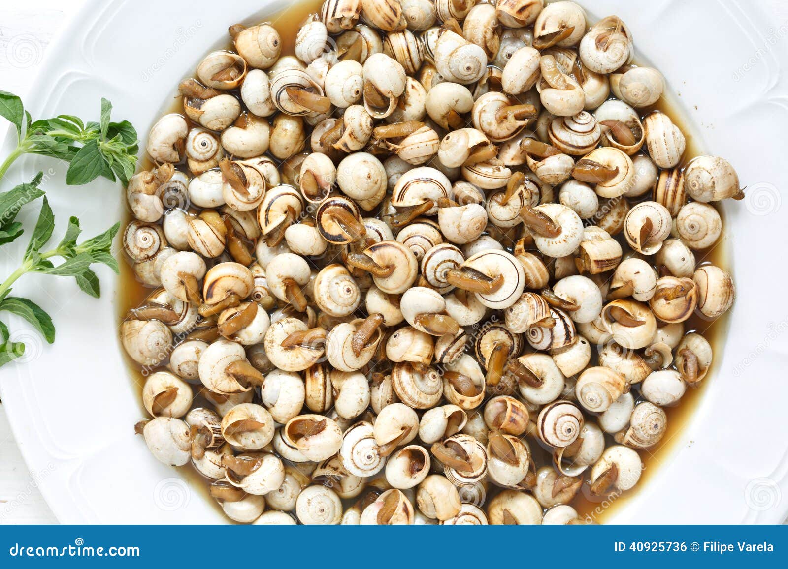 Cooked Snails Royalty-Free Stock Photography | CartoonDealer.com #17358461