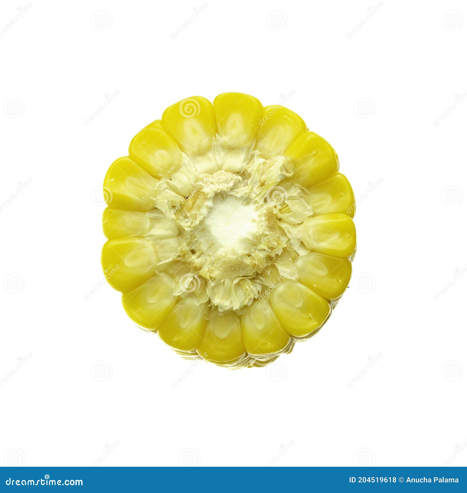 Top View Corn Isolated on White Background As Package Design Element ...