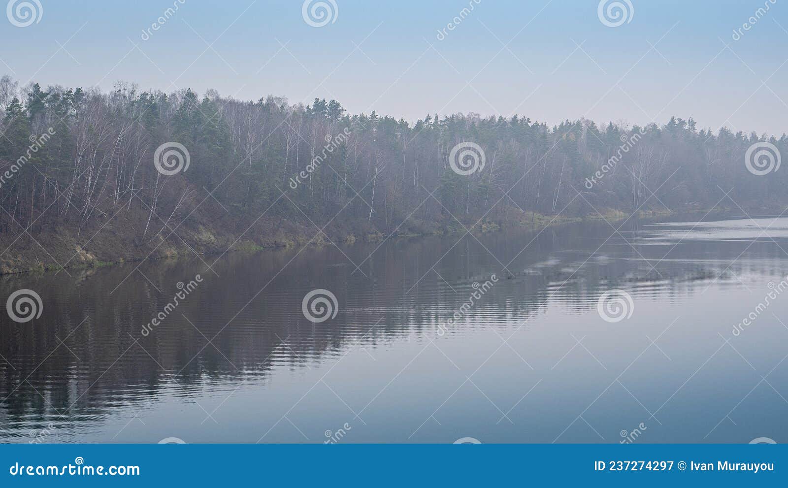 Top View of the Countryside, River, Lawn, Trees. Nature Conservation ...