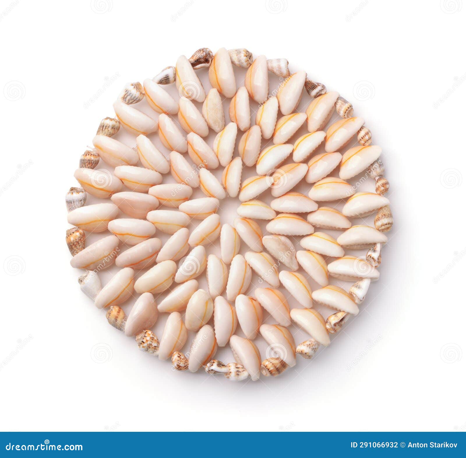 Top View of Cowrie Shell Trivet Stock Photo - Image of dish, coaster ...