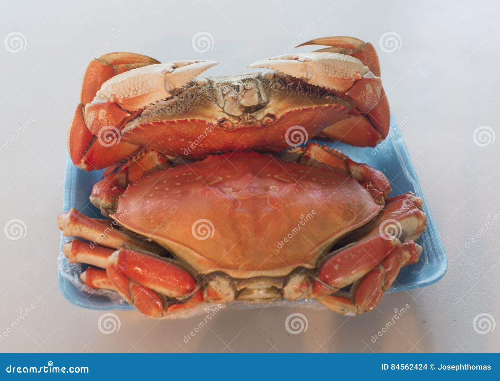 Top View of Crab Seafood Package Stock Photo - Image of healthy ...
